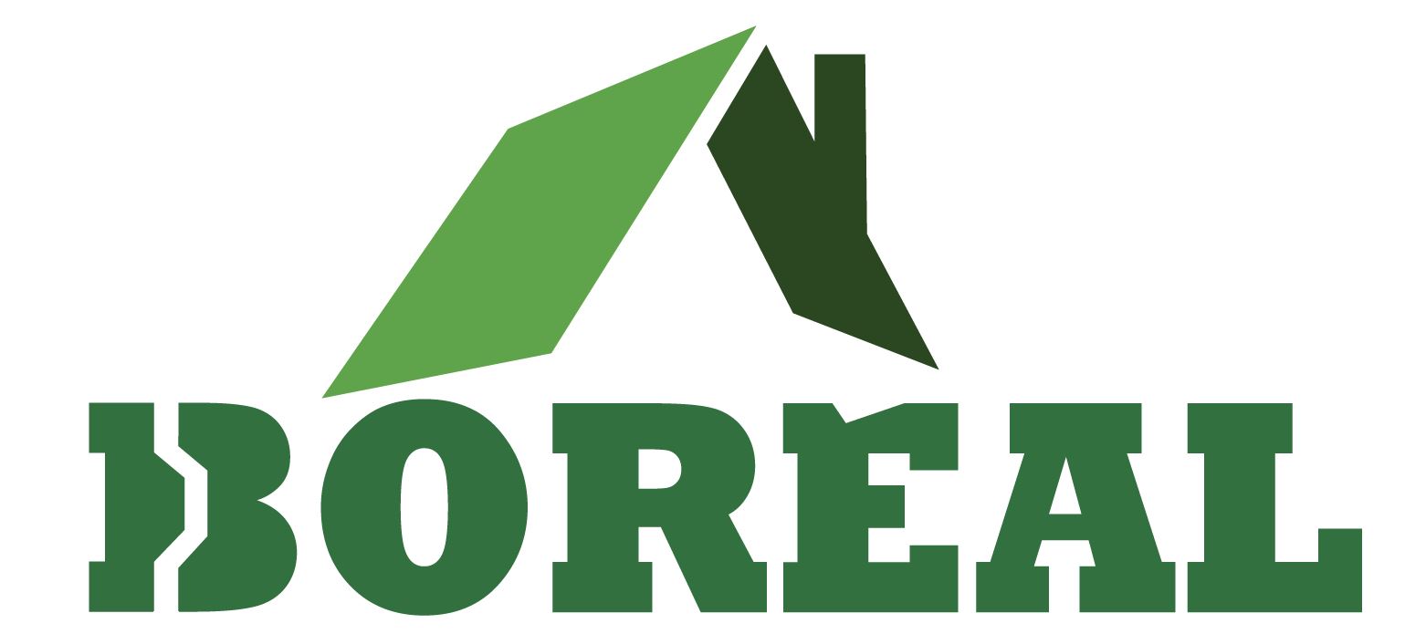Boreal logo - Groupe Conseil Roberge - Gestion, opération & marketing